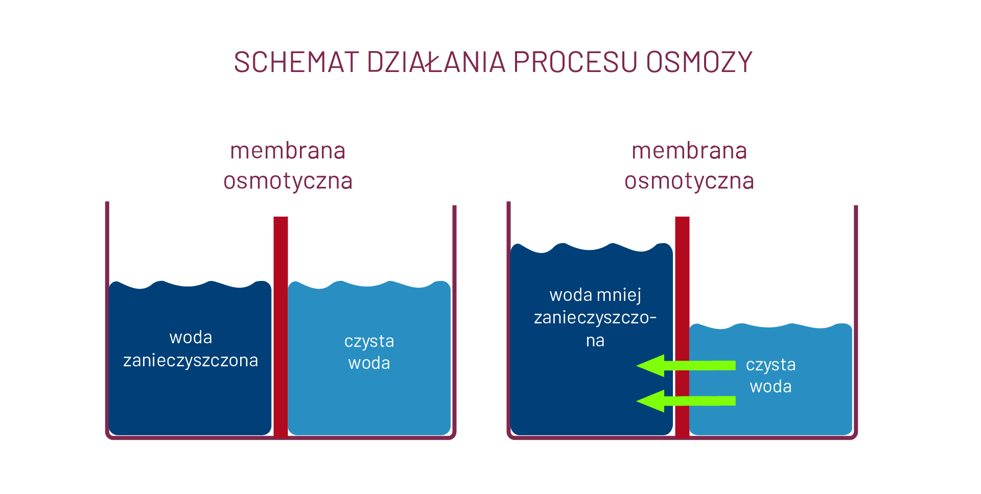 Co to jest filtr odwróconej osmozy?